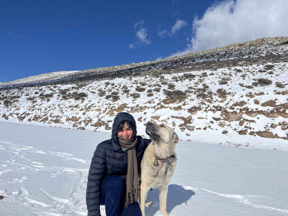 مجتمع گردشگری اقامتی ایکی قارداش - مشگین شهر